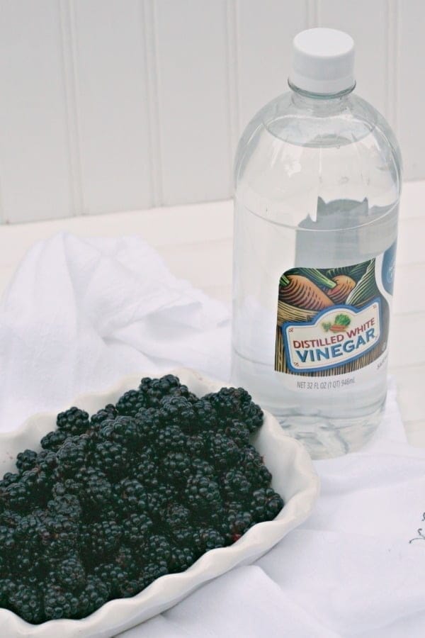 Berry Tips - How to Prevent Moldy Berries | Today's Creative Life