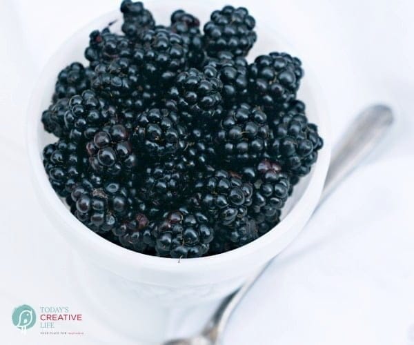 Berry Tips - How to Prevent Moldy Berries - Today's Creative Life