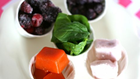 How to Make Philly Water Ice - Today's Creative Life