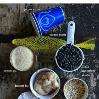 Homemade Bird Suet Recipe - Today's Creative Life