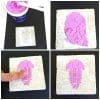 DIY Trilobite Fossils - Today's Creative Life