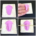 DIY Trilobite Fossils - Today's Creative Life
