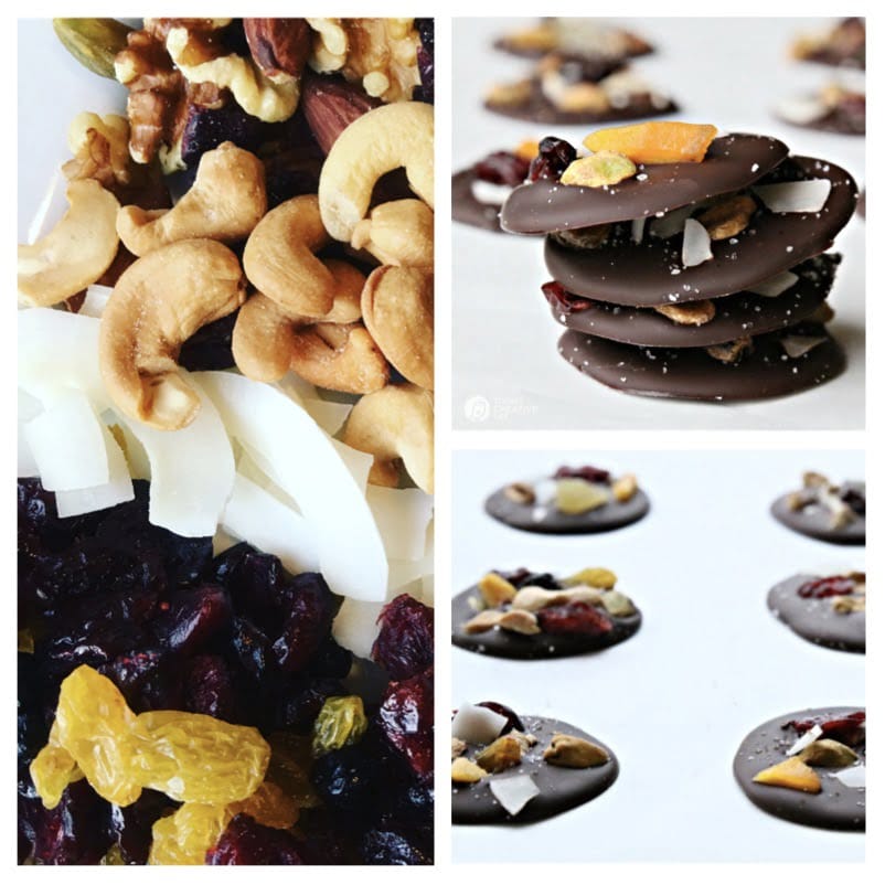 Dark Chocolate Nutty Fruit Bites - Today's Creative Life
